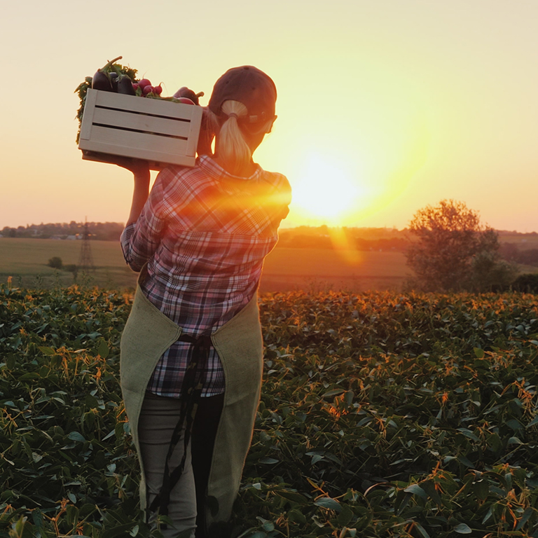 Cause Marketing and Why We Support Organic Farming - Vermont Soap